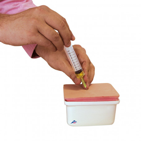 3B Scientific W19375 intra-muscular injection pad | Medi-Shop.gr