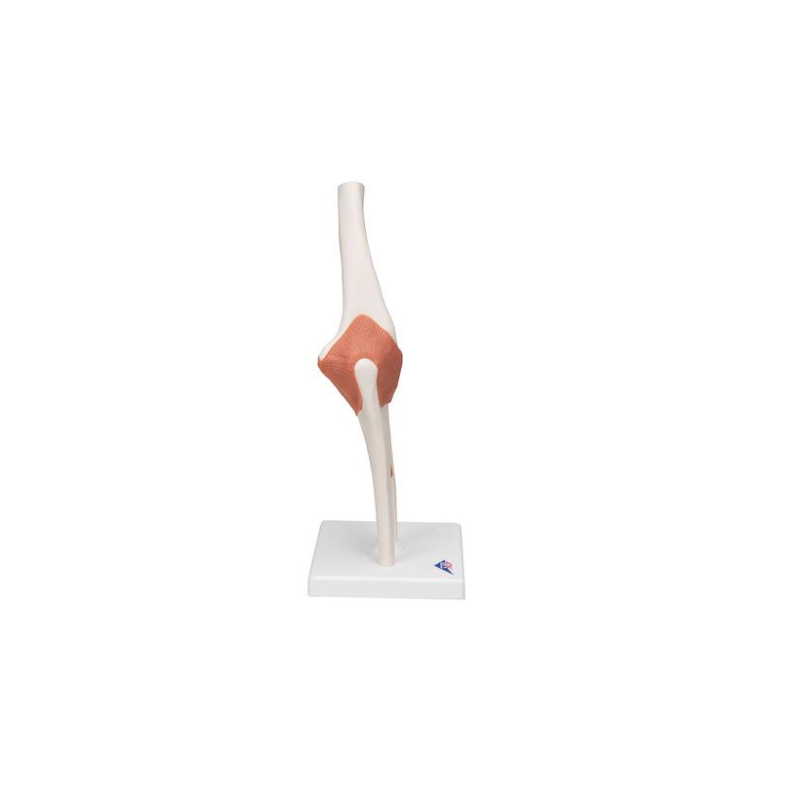 Functional elbow joint A83 | Medi-Shop.gr