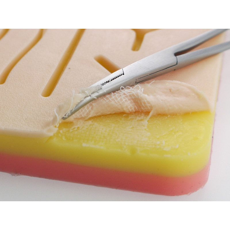 Suture educational model with wounds and mesh 23020 | Medi-Shop.gr